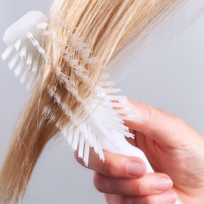 Stanhome Lady Catherine Hairbrush Gentle Nylon Bristles – Fuller Brush ...